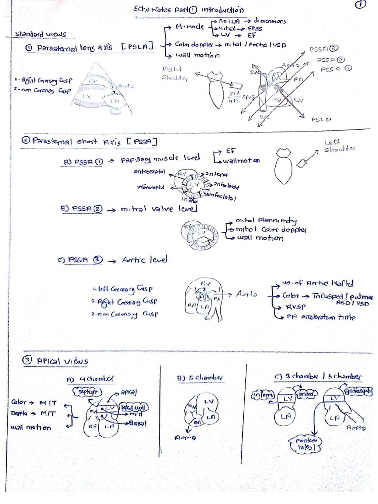 Echo Notes Part 1 Introduction | PDF