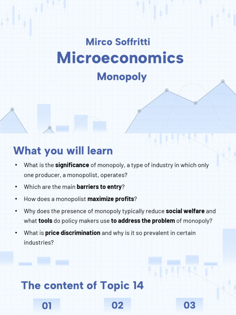 Ch_14 | PDF | Monopoly | Profit (Economics)