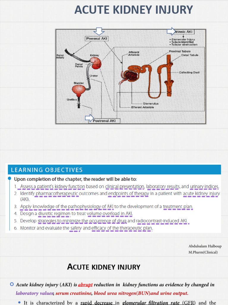 Acute Kidney Disease | PDF