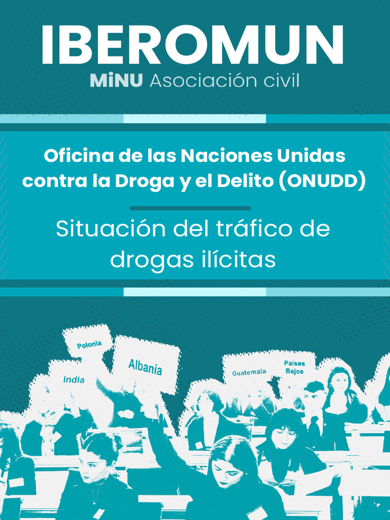 ONUDD - Situación Del Tráfico de Drogas Ilícitas | PDF | Comercio ...