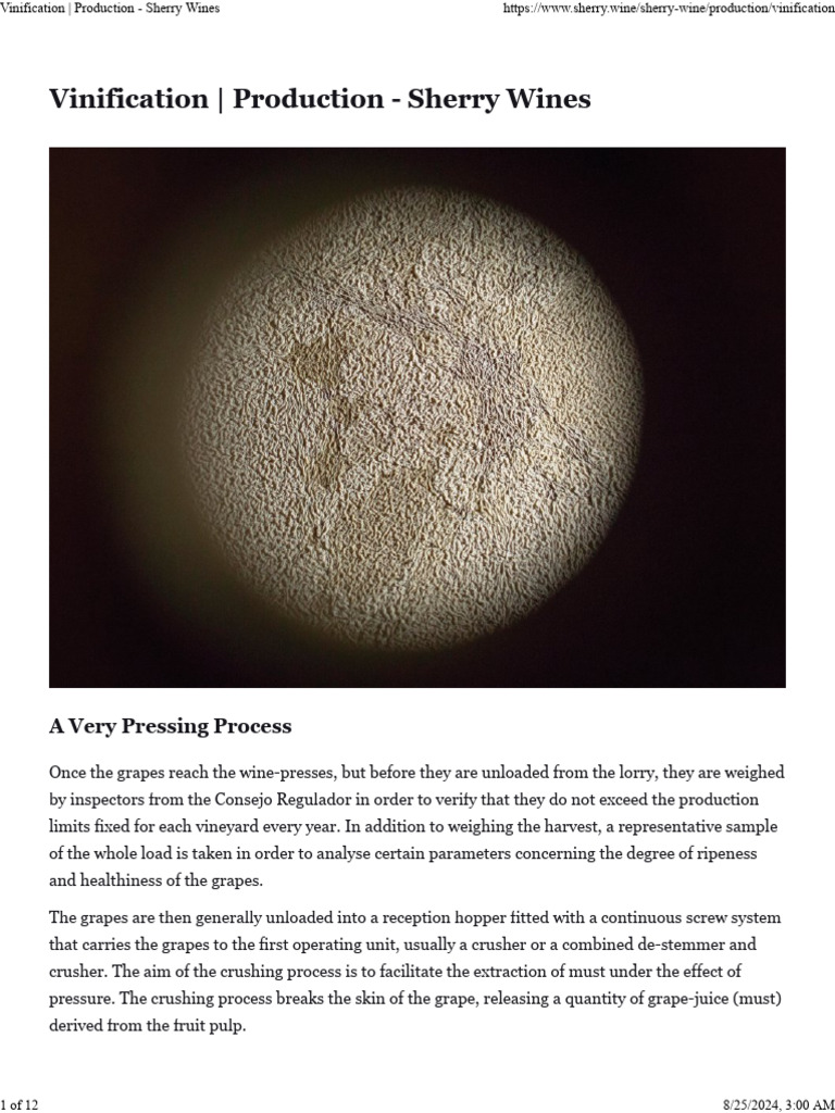 Vinification Production - Sherry Wines | PDF | Winemaking | Wine