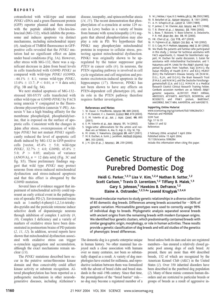 Genetic Structure of The Purebred Domestic Dog | PDF | Dog Breeds | Dogs