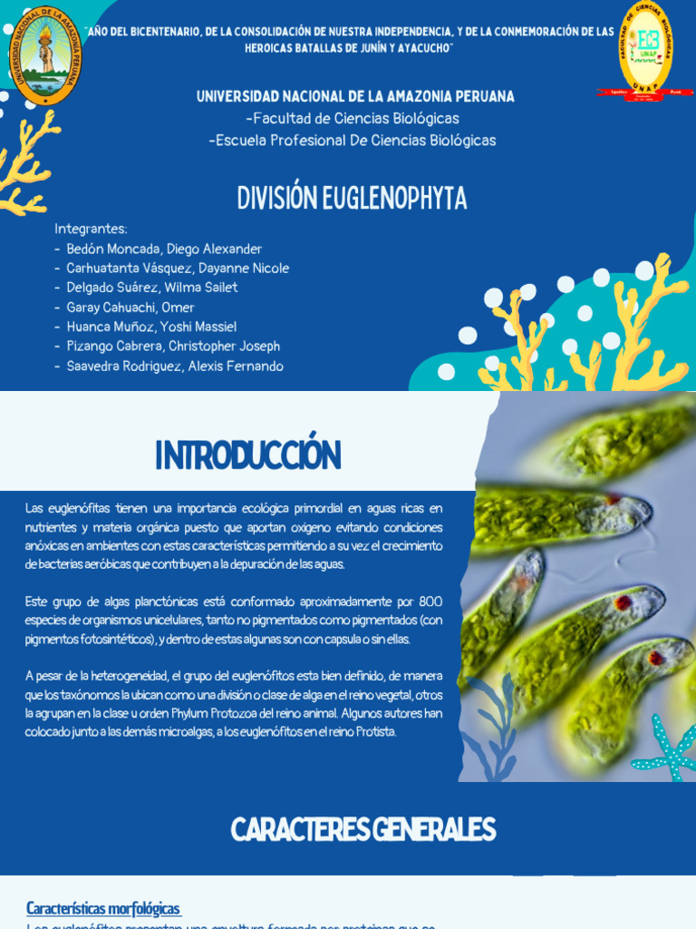 Grupo 1 - División Euglenophyta | PDF | Cloroplasto | Biología