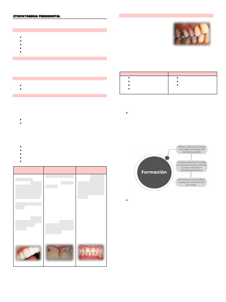 Etiopatogenia Periodontal | PDF | Las bacterias | Especialidades Medicas