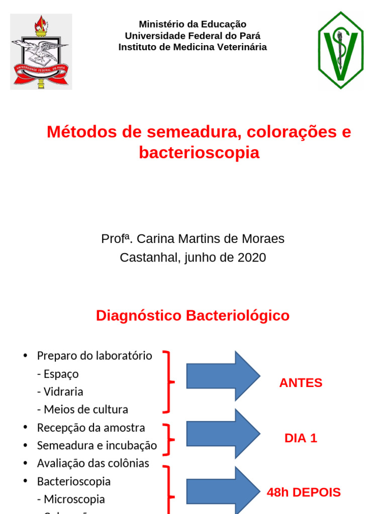 Métodos de Semeadura e Bacterioscopia | PDF | Microscopia