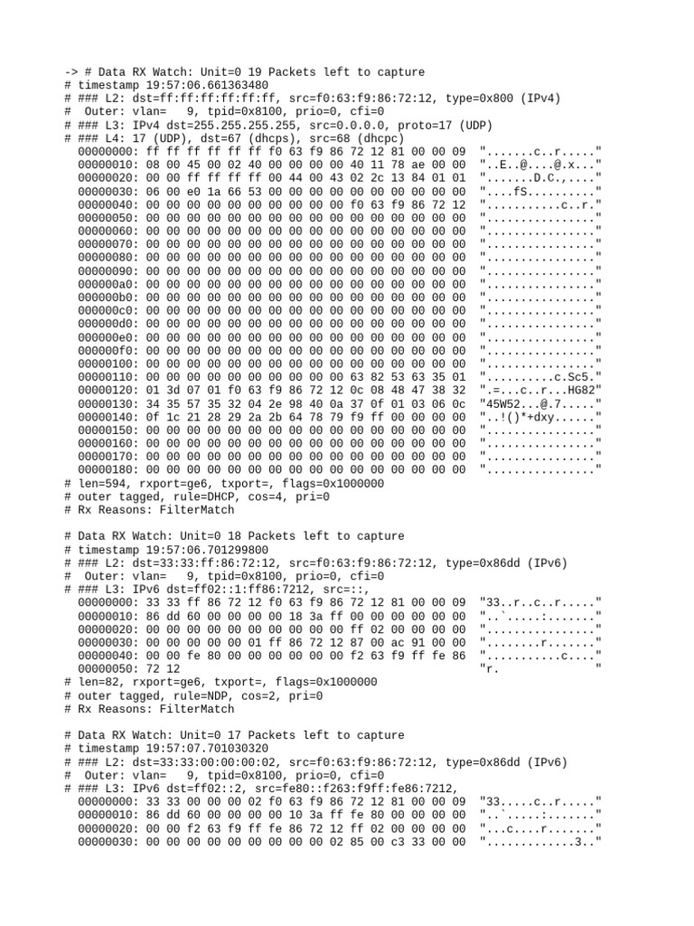 DHCP-packet-capture | PDF | Computer Architecture | Computer Standards