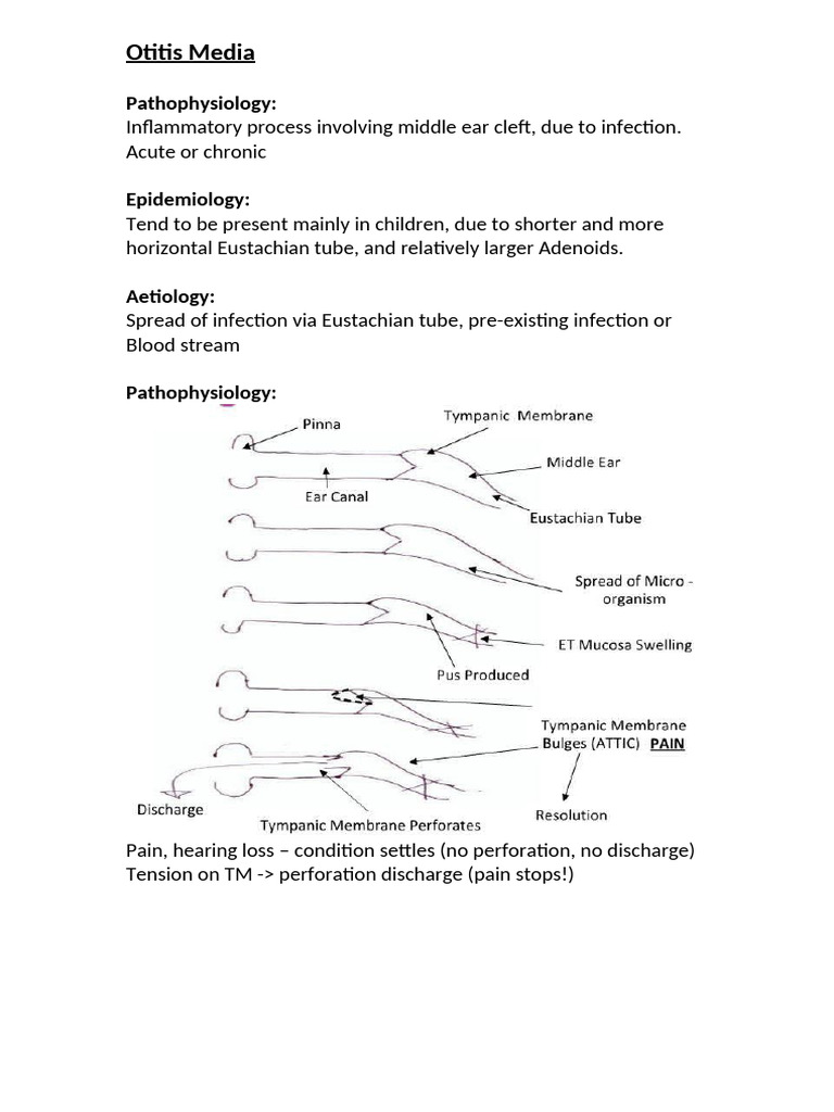 Otitis Media | PDF