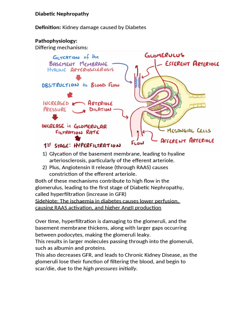 Diabetic Nephropathy Overview | PDF | Causes Of Death | Organ (Anatomy)