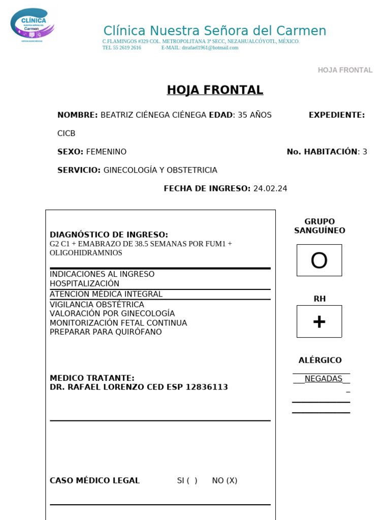 Hoja Frontal | PDF