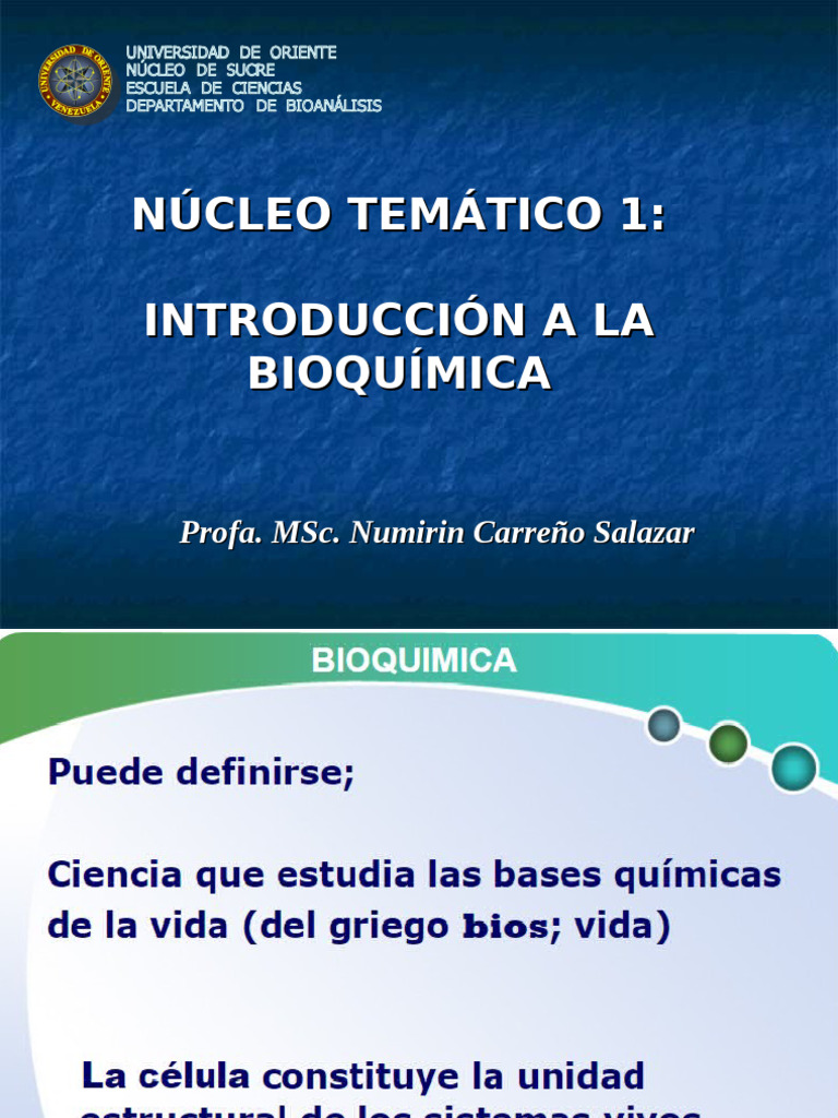 Introduccion A La Bioquimica | PDF