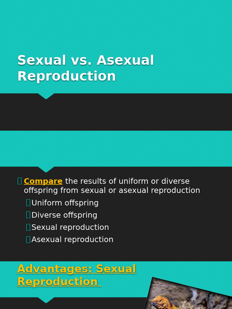 4-Asexual Vs Sexual Reproduction | PDF | Sexual Reproduction | Reproduction