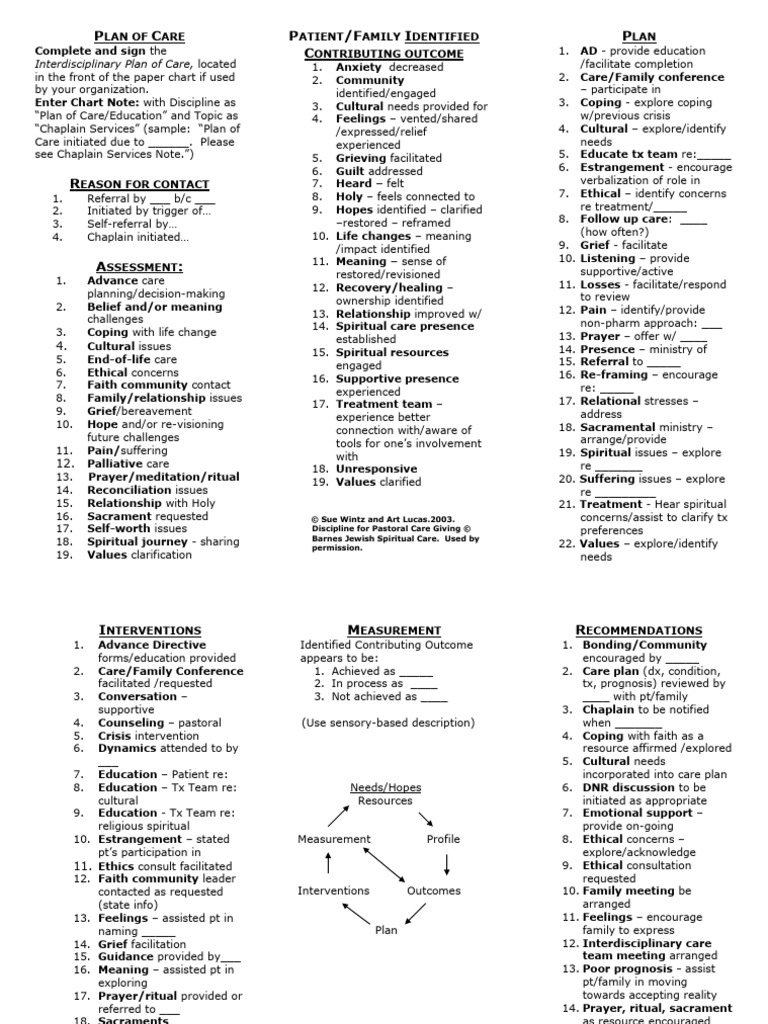 14 Wintz - Lucas OOC Charting Guide 2003 | PDF | Grief | End Of Life Care