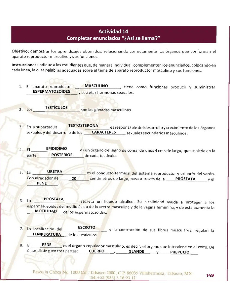 Actividad 14 | PDF
