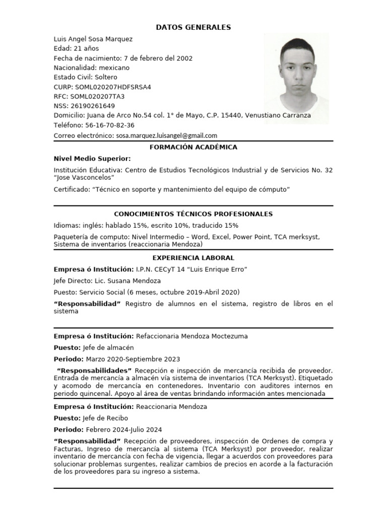 CV Luis 2024 (1) | PDF