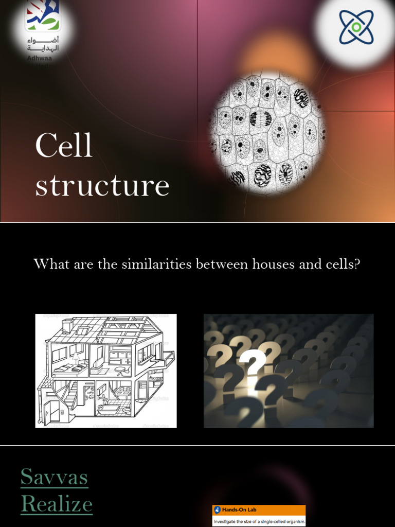 Lesson 2 Cell Structure-1 | PDF | Cell (Biology) | Endoplasmic Reticulum