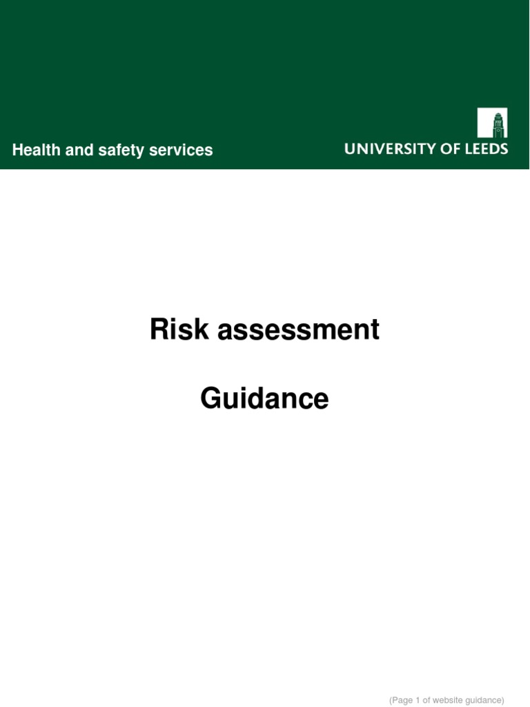 Risk Assessment Guidance: Health and Safety Services | PDF