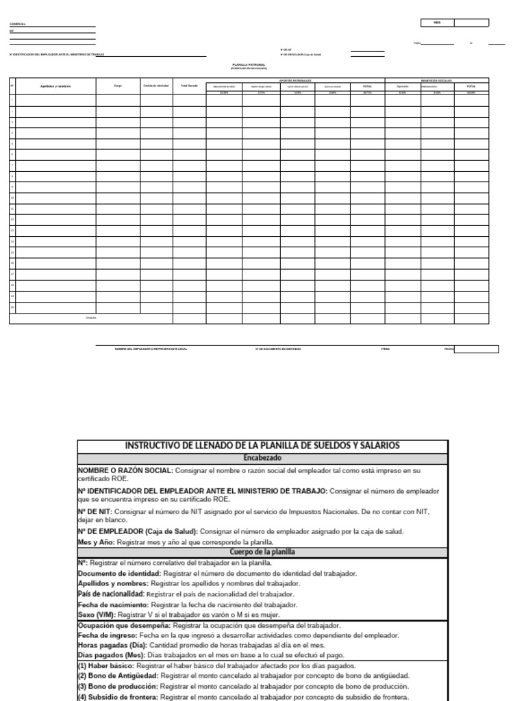 Formato_Planilla_Patronal | PDF | Documento de identidad