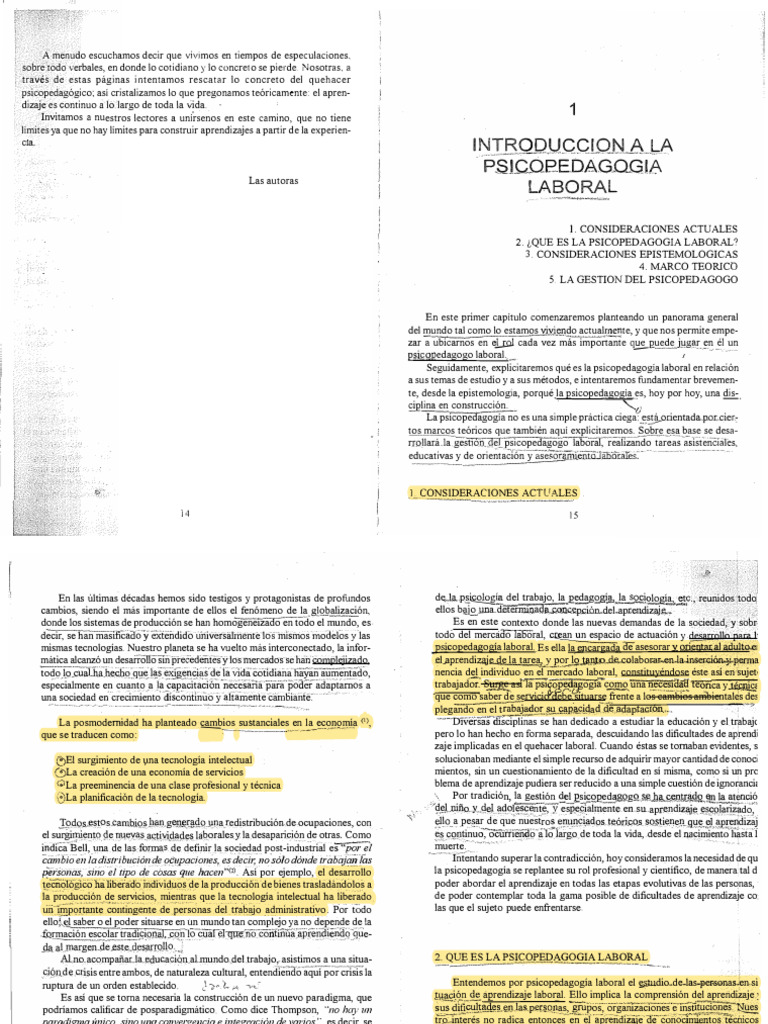 D'ANNA, S y HERNÁNDEZ, L - Introducción A La Psicopedagogía Laboral. Capítulos 1 y 4 | PDF ...