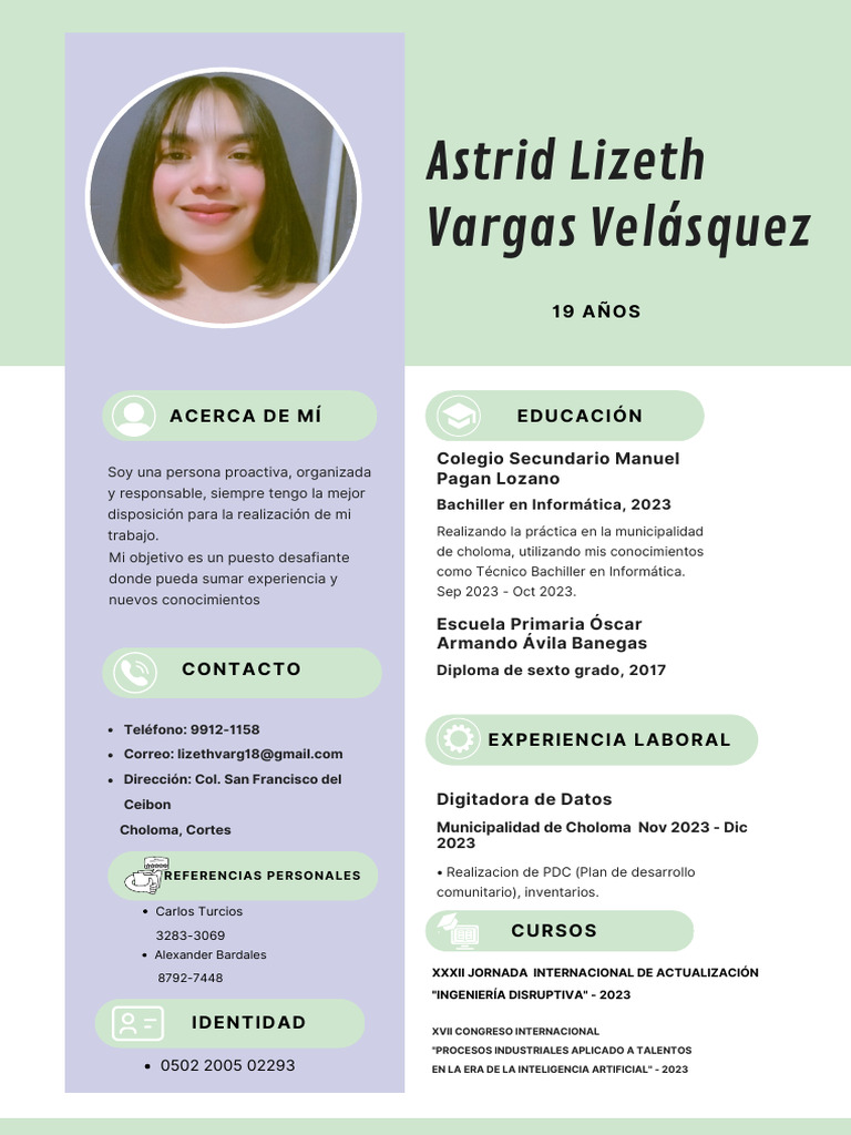 Perfil Profesional de Astrid Vargas | PDF