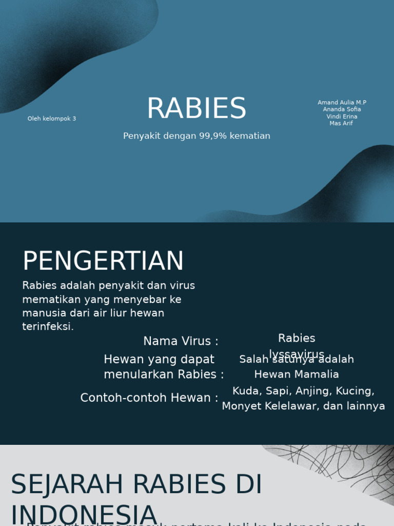 Kel 1 Rabies | PDF