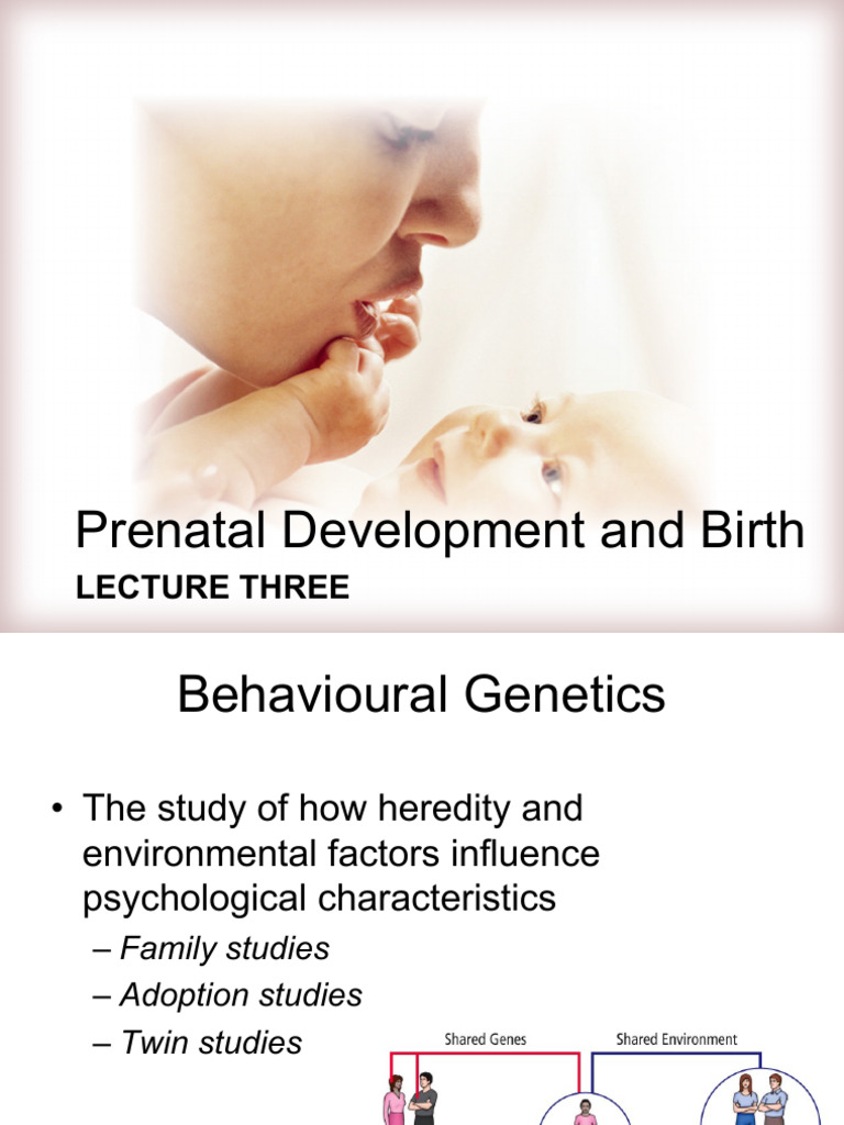 EDUC2312 - LECTURE 2 - Prenatal - Development - Students | PDF ...