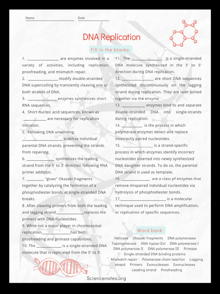 DNA Replication | PDF