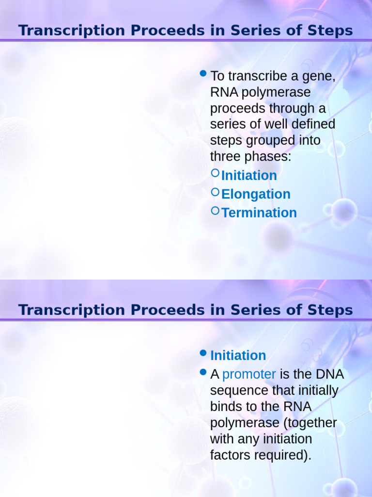 Steps of Gene Transcription Process | PDF | Dna | Promoter (Genetics)