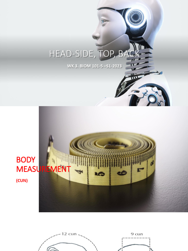 Head Anatomy and Measurement Guide | PDF | Human Head And Neck | Human ...