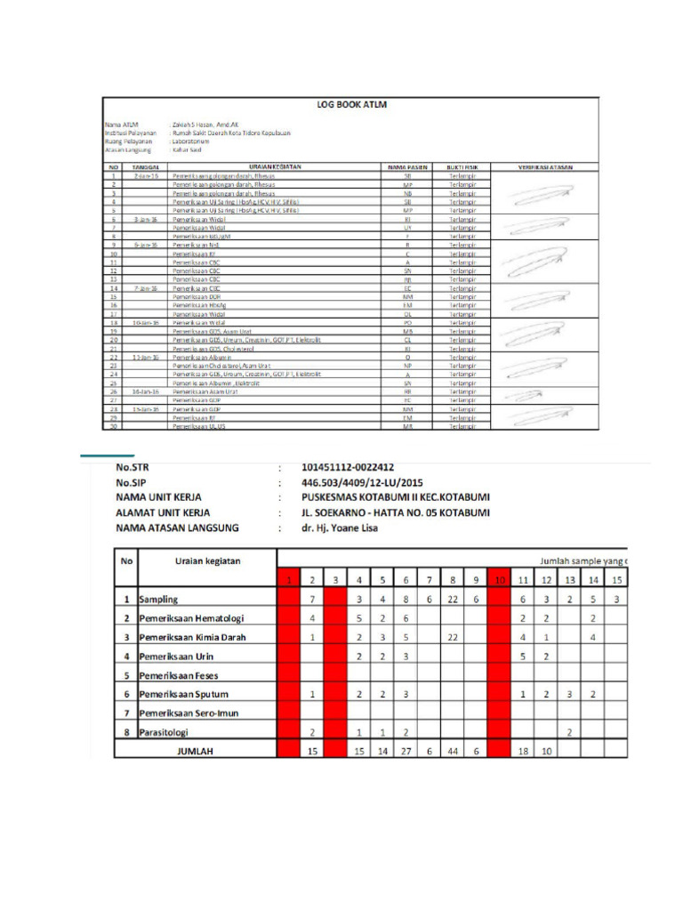 Contoh Logbook | PDF