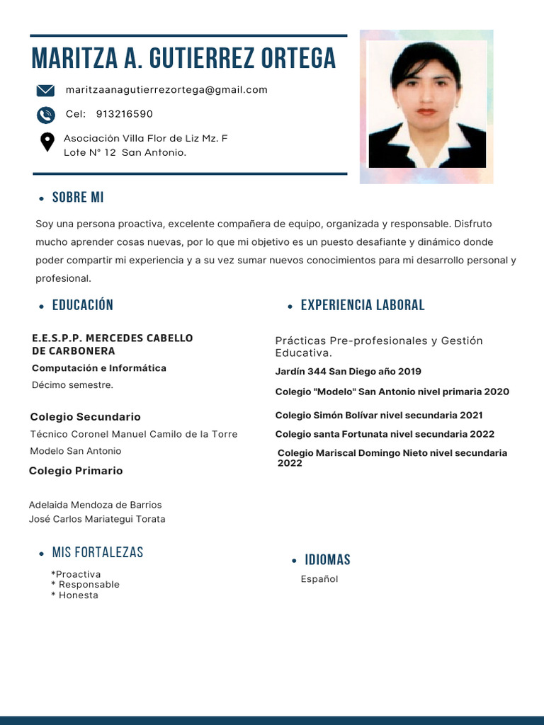 Blue Light Blue Color Blocks Flight Attendant CV | PDF