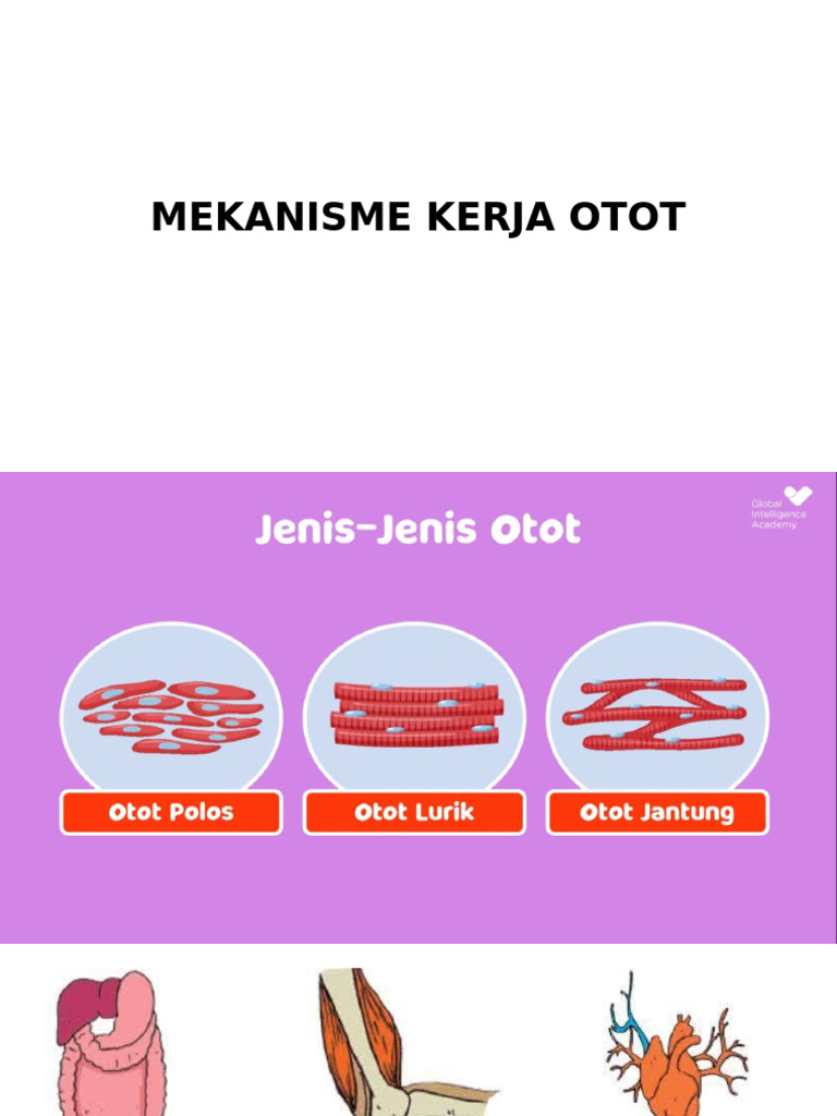 Mekanisme Kerja Otot | PDF