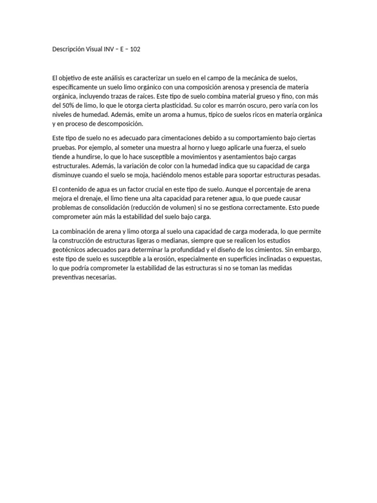 Descripción Visual INV | PDF