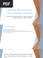 Atlas URINALISE | PDF