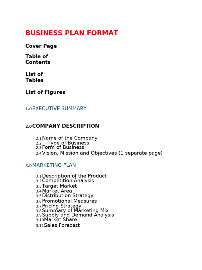 Business Plan Format | PDF | Computers