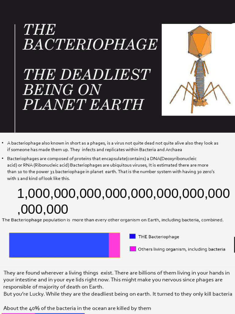Class Presentation by A Kid About Bacteriophages | PDF | Bacteriophage ...