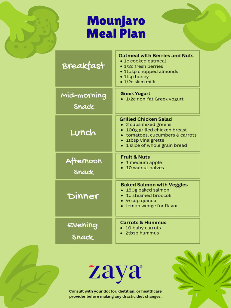 Mounjaro Daily Meal Plan Guide | PDF