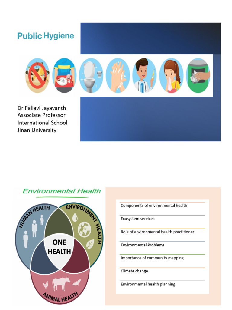 Public Hygiene Lecture 6 | PDF