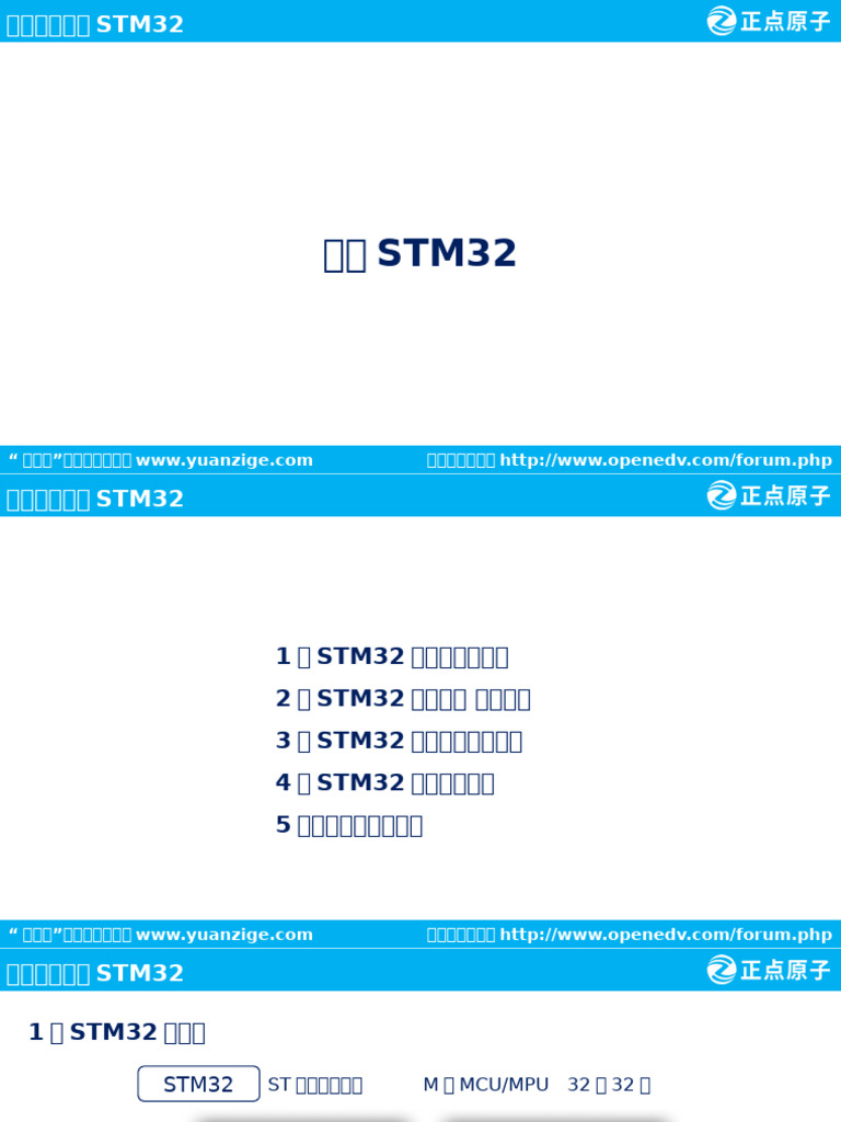 初识STM32 | PDF