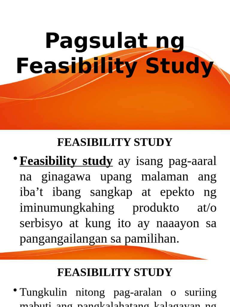 1 Feasibility Study | PDF