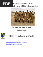 Sea Cadet Lesson 1 Worksheet Answers Cadet Ranks | PDF