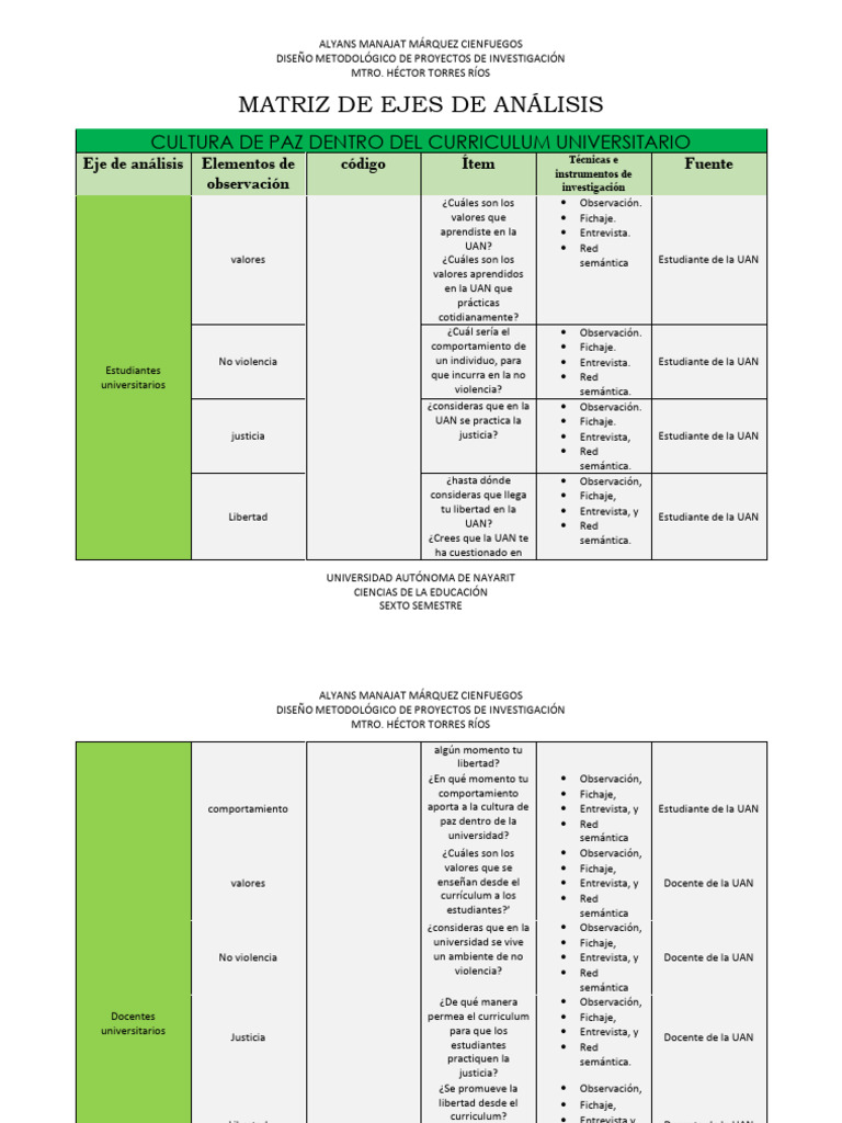 MATRIZ DE EJES DE ANÁLISIS. | PDF | Maestros | Plan de estudios