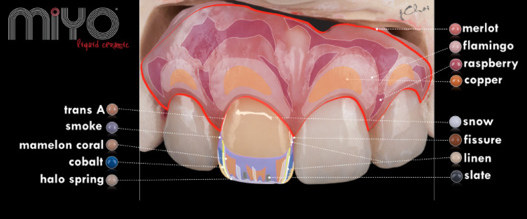 MiYO® Pink Color Map – EN | PDF