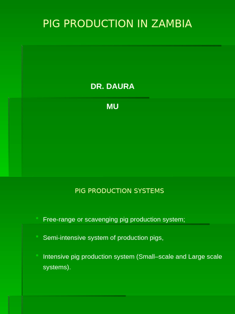 Pig Production in Zambia | PDF | Pig