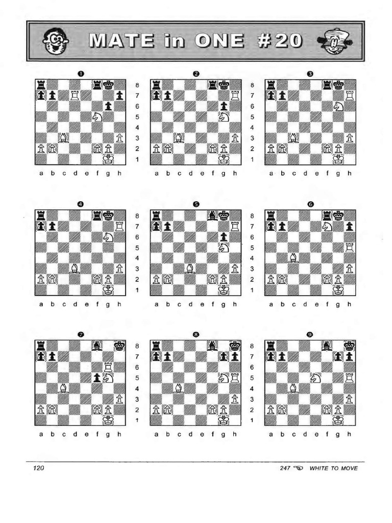 Mate in One 20 | PDF