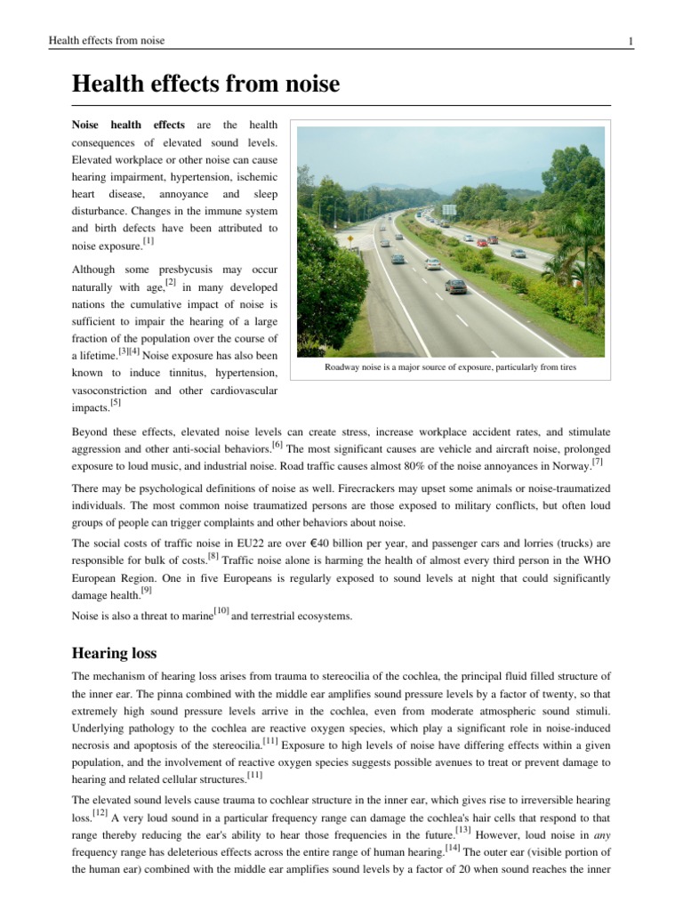 Health Effects From Noise | PDF | Sound | Waves