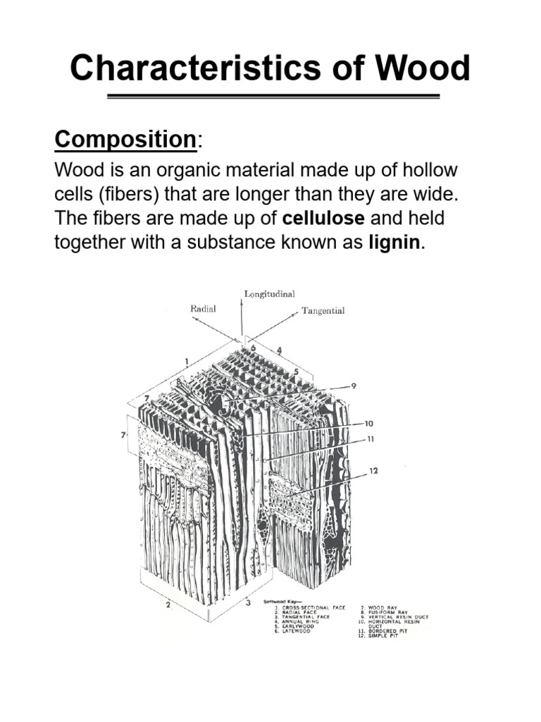 Wood Characteristics and Properties Guide | PDF | Wood | Lumber