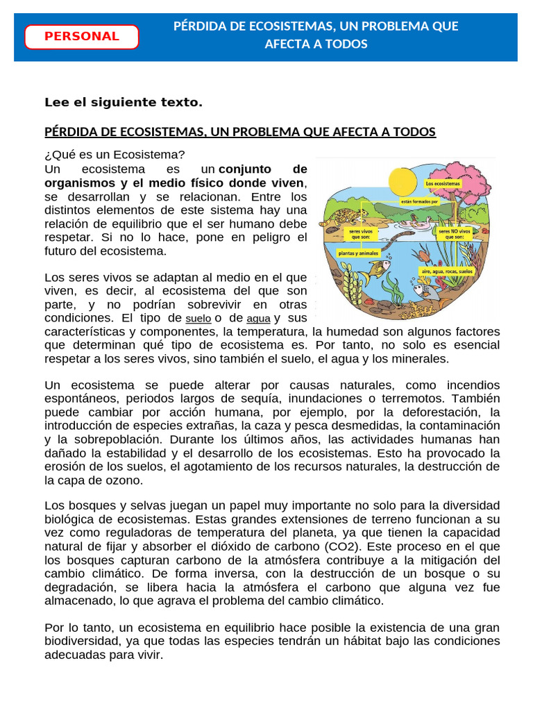 D3 A3 FICHA PS. Pérdida de Ecosistemas, Un Problema Que Afecta A Todos | PDF | Suelo | Ecosistema