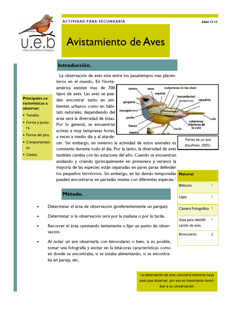 Avistamiento de Aves | PDF | Aves | Ornitología