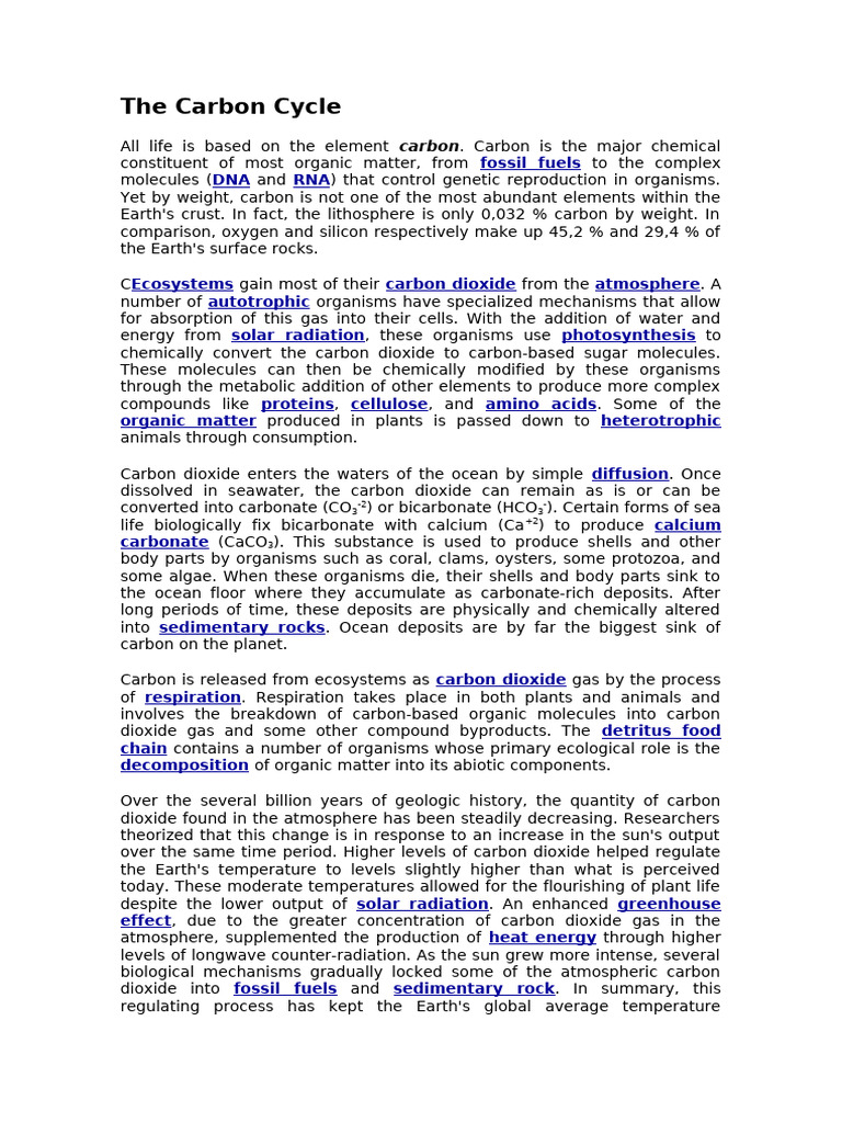 LESSON AND PRACTICE 6 - The Carbon Cycle | PDF | Carbon Cycle | Carbon