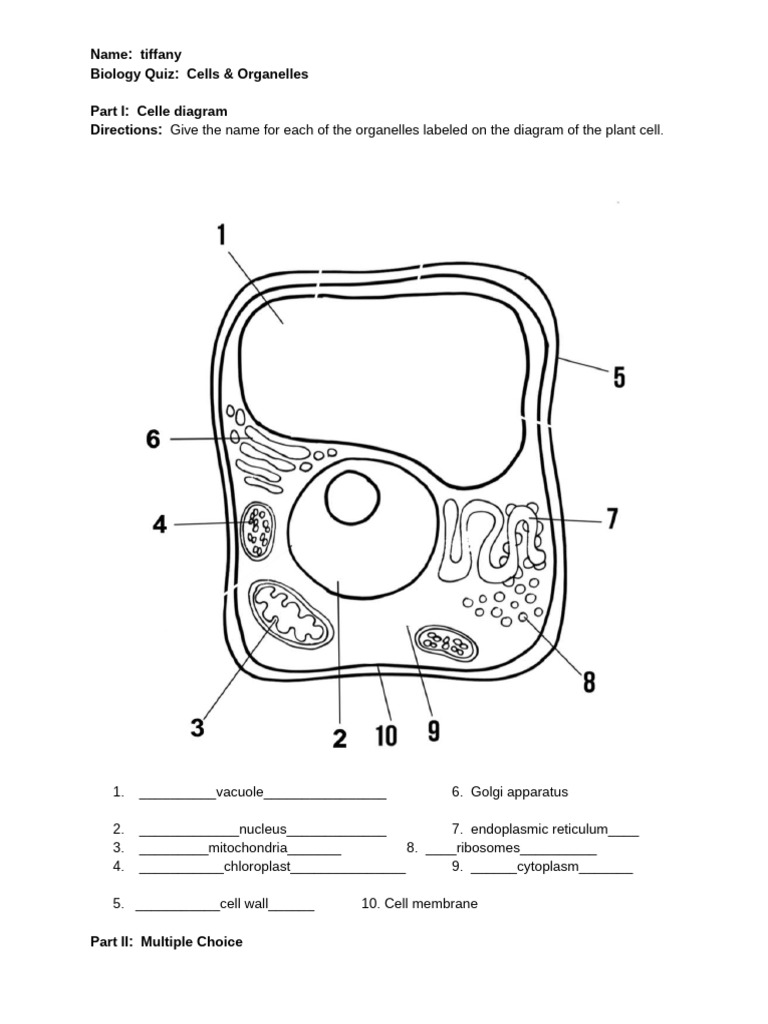 Copy of Test-Cells & Organelles v.2 | PDF | Cell (Biology) | Organelle